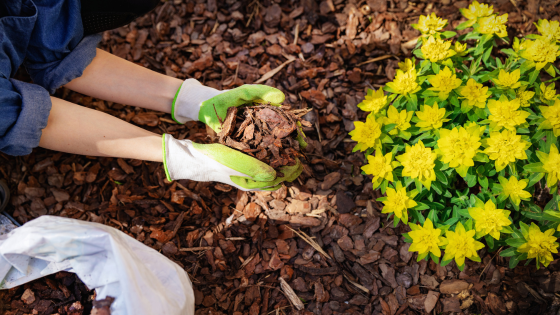 Landscaping Updates That Add Curb Appeal Without Overspending ...