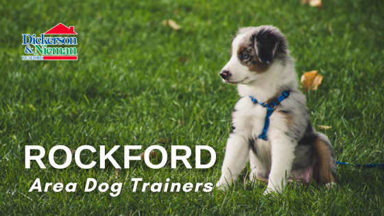 Paws and Learn: Dog Trainers Around Rockford | Dickerson & Nieman Realtors